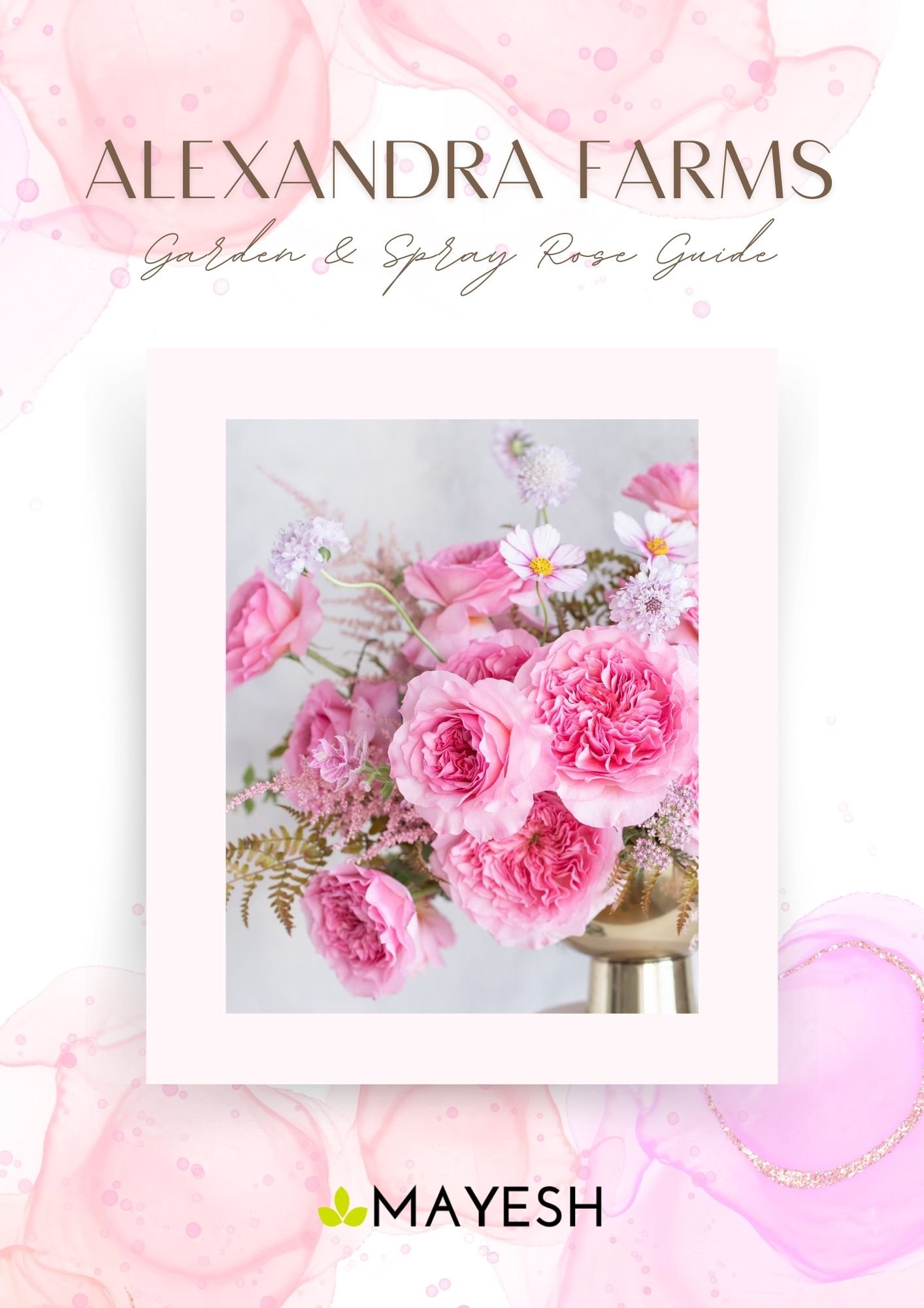 Alexandra Farms Rose Guide