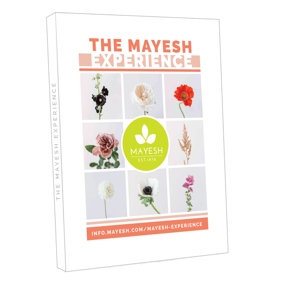 The Mayesh Experience